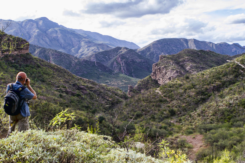 Reserve Development | NORTHERN JAGUAR PROJECT