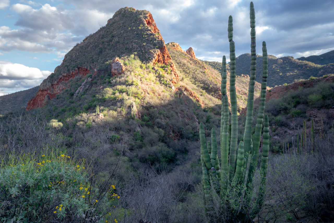 Reserve Development | NORTHERN JAGUAR PROJECT